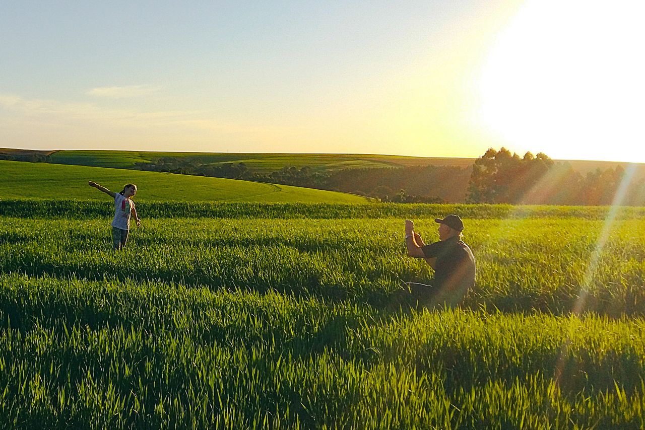 Versichern und Bausparen | Debeka